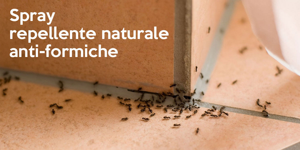 La bottega profumata - Repellente naturale antiformiche